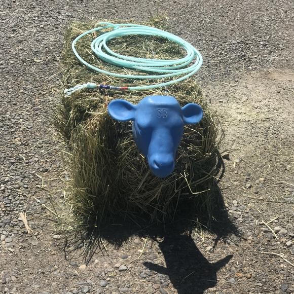 Rodeo Photo Gallery | Livingston MT | Roundup Rodeo