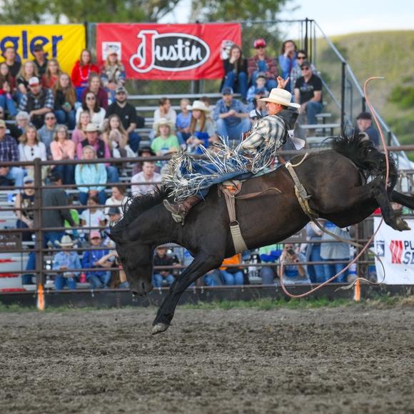 Rodeo Photo Gallery | Livingston MT | Roundup Rodeo